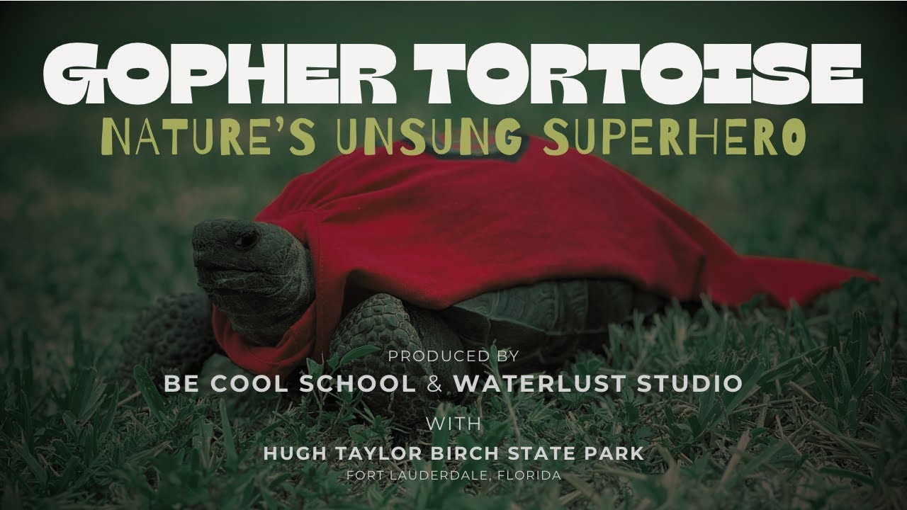 The Adventures of Super Cinnamon - A Super Gopher Tortoise Story - YouTube