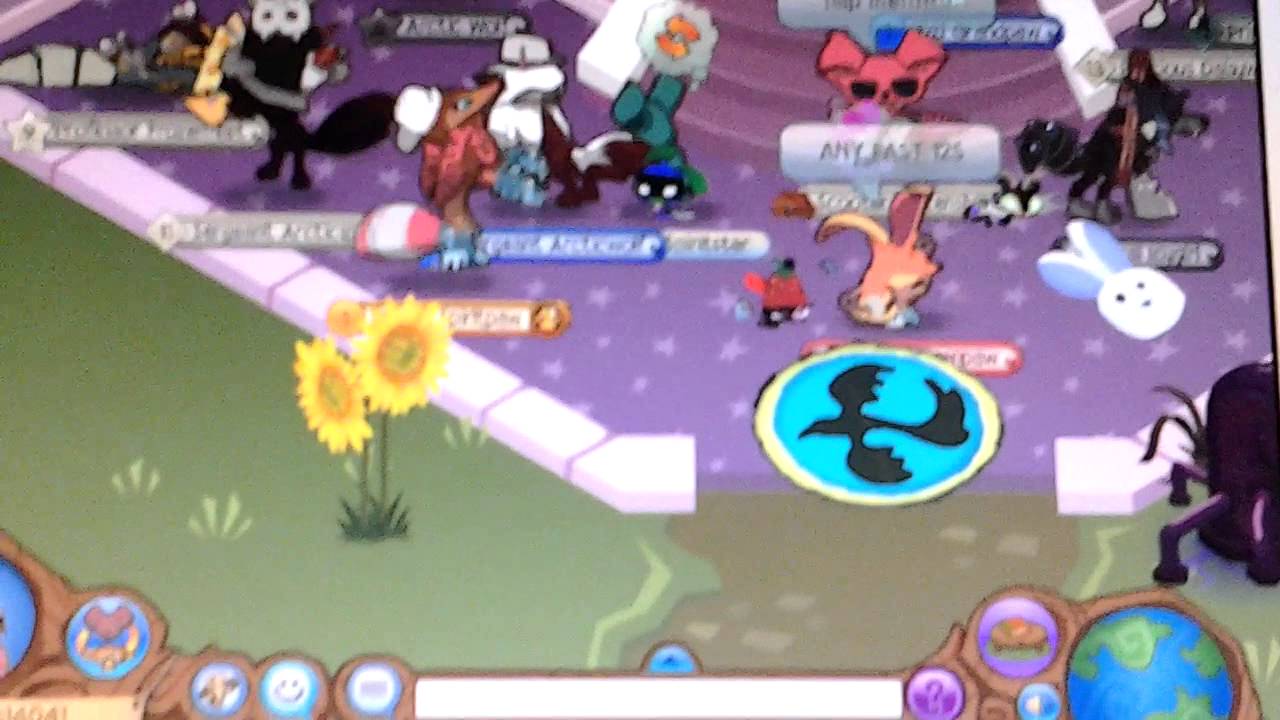 Animal Jam: Flash Trade Party :D - YouTube