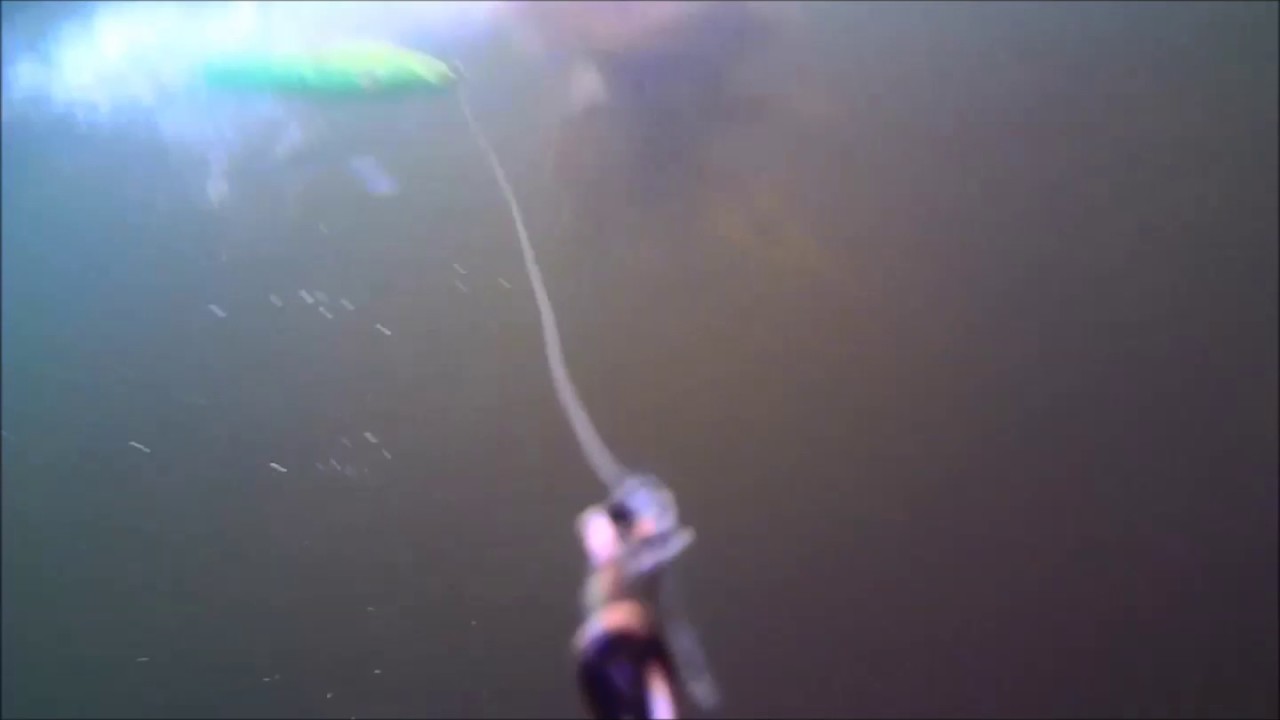 Savage Gear 3D Hybrid Pike 25cm - Firetiger - Under water with Water ...