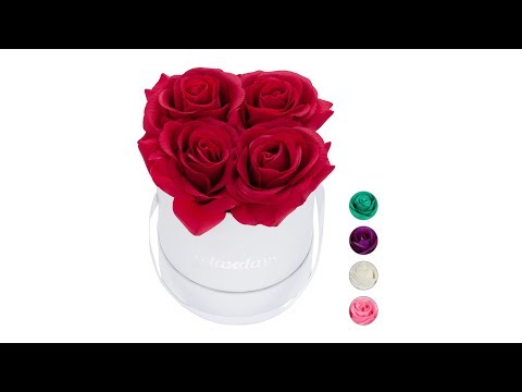 Weiße Rosenbox rund 4 Rosen