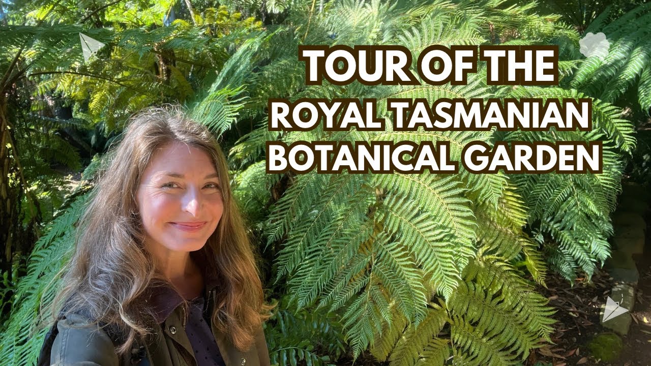 Tour of the Royal Tasmanian Botanical Garden: New Zealand Collection 7 ...