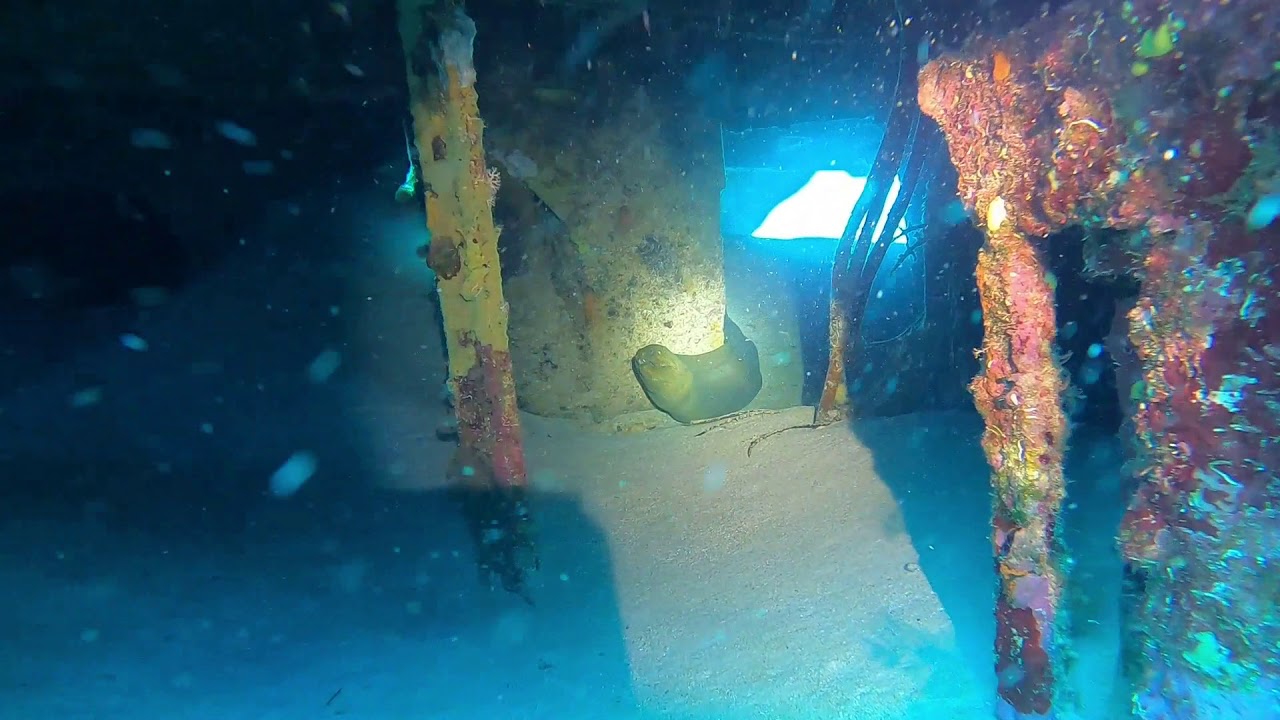 Grand Cayman - Oro Verde Wreck Dive - YouTube