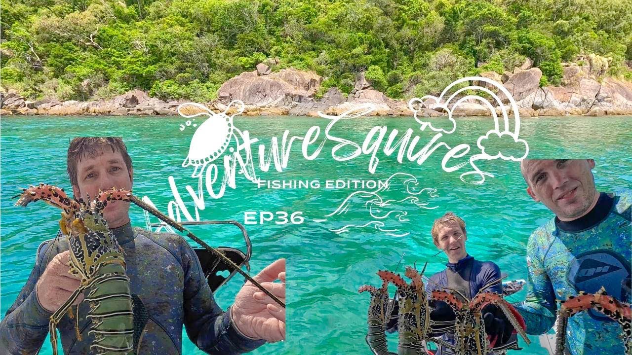 SPEARFISHING GREAT BARRIER REEF - CRAYFISH, CORAL TROUT, MANGROVE JACK ...