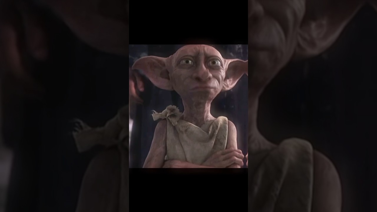 @norayr989 #dobby - YouTube