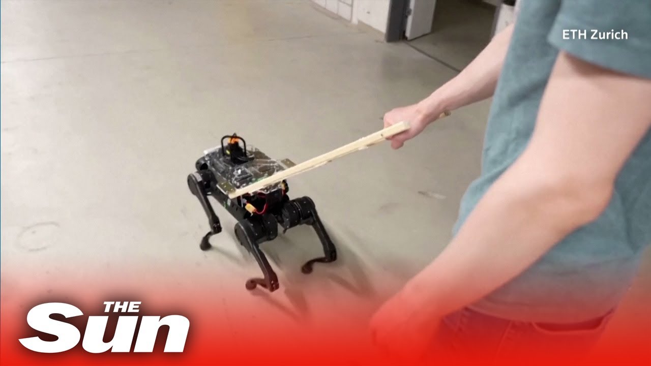 Robots could replace guide dogs for the blind - YouTube