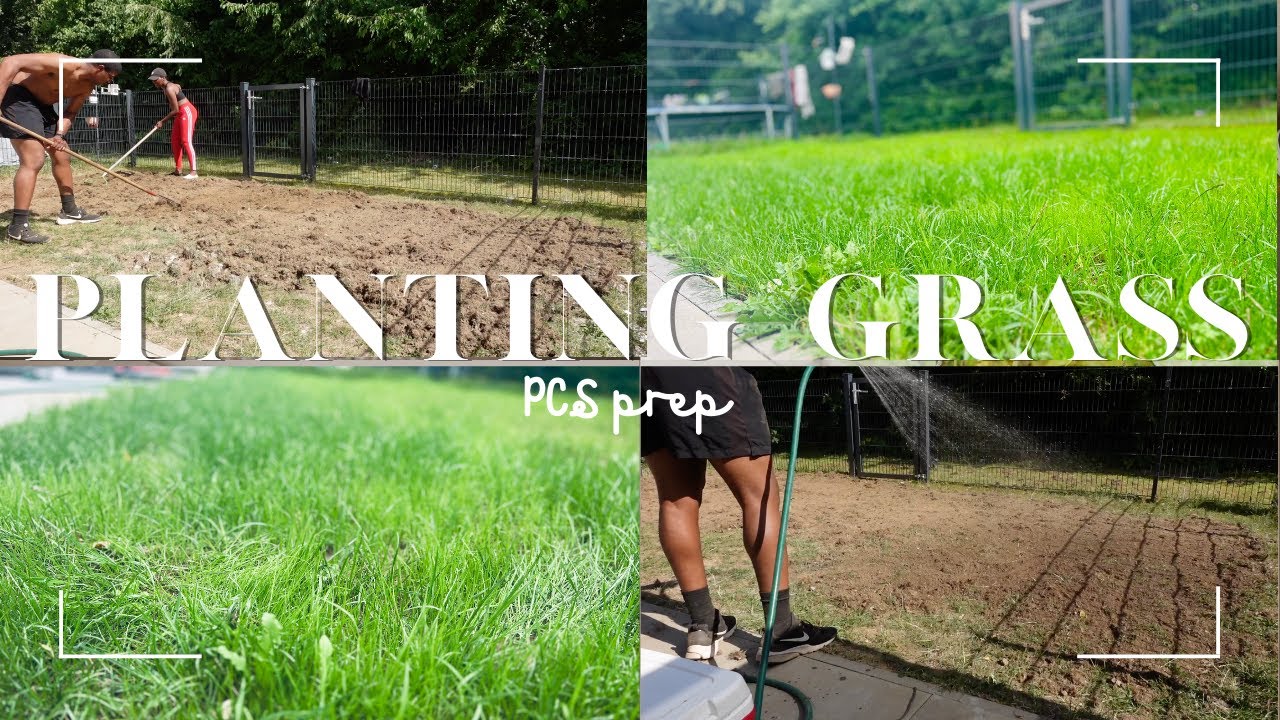 PCS prep: (part 4) time to grow some grass, our simple method for ...
