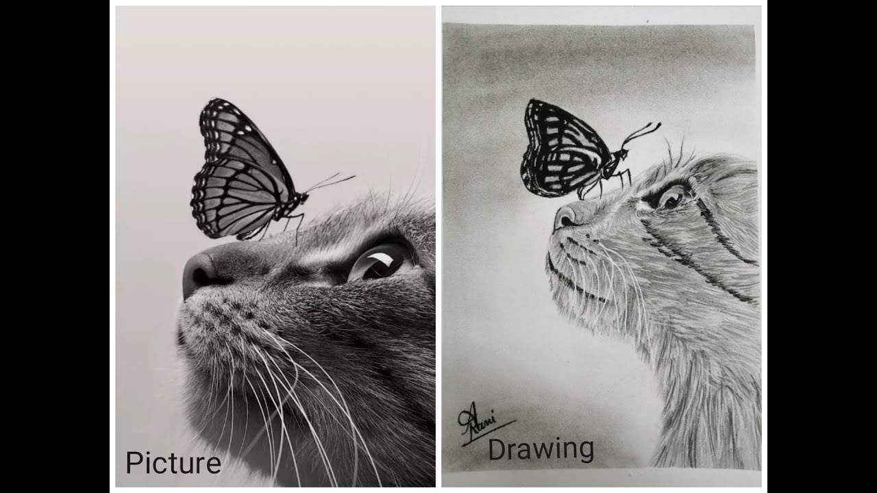 How to Draw Cat with butterfly I Realistic Drawing I Tutorial to Draw ...