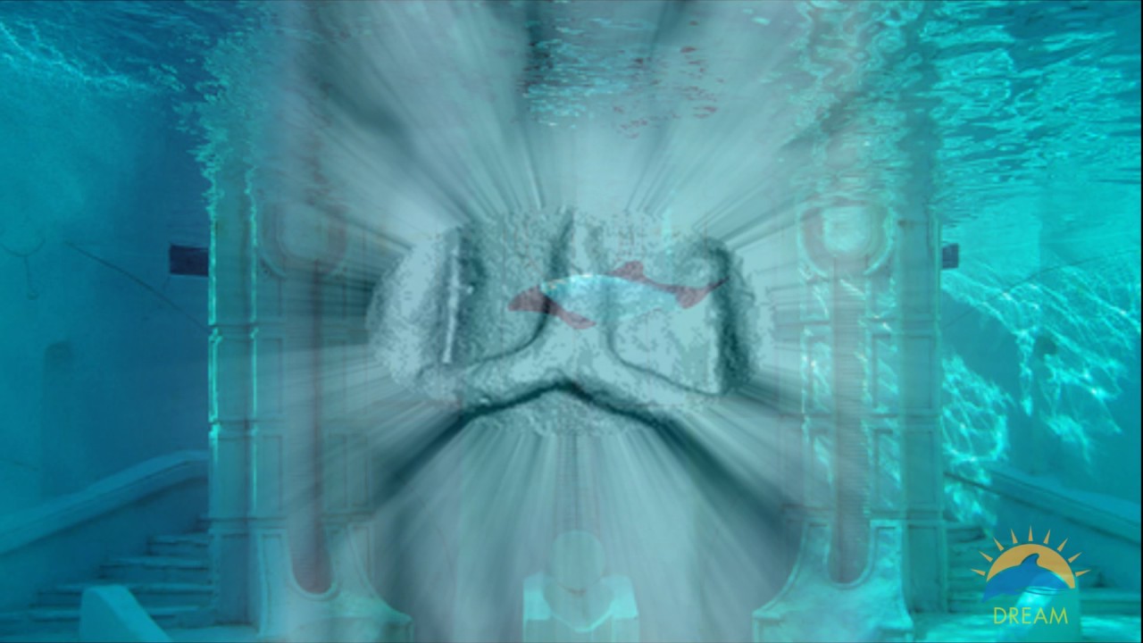 Intercontinental Youtube