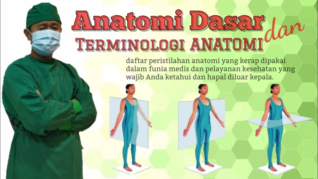 56. Anatomi Dasar dan Terminologi pada Anatomi - YouTube