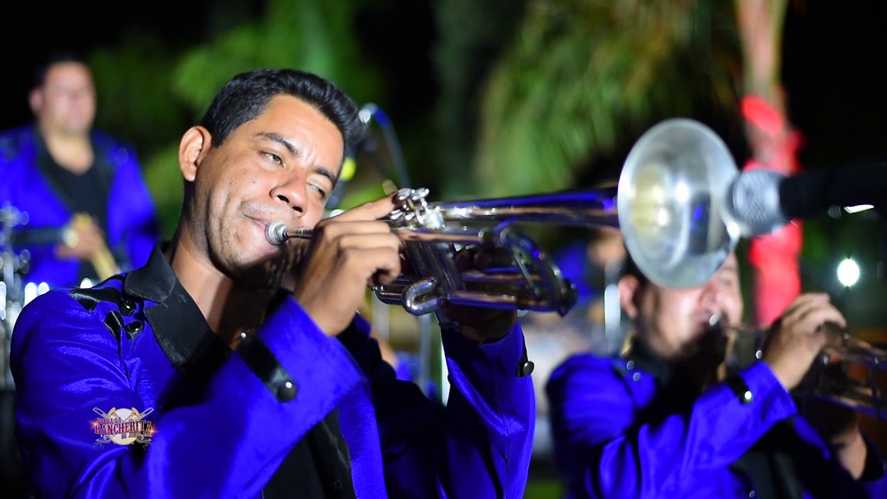 #BLR EL PALOMINO BANDA LA RANCHERITA de jerez - YouTube