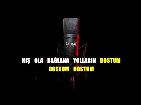 Abdullah Polatçı - Dostum Dostum / Karaoke / Md Altyapı / Cover / Lyrics / HQ
