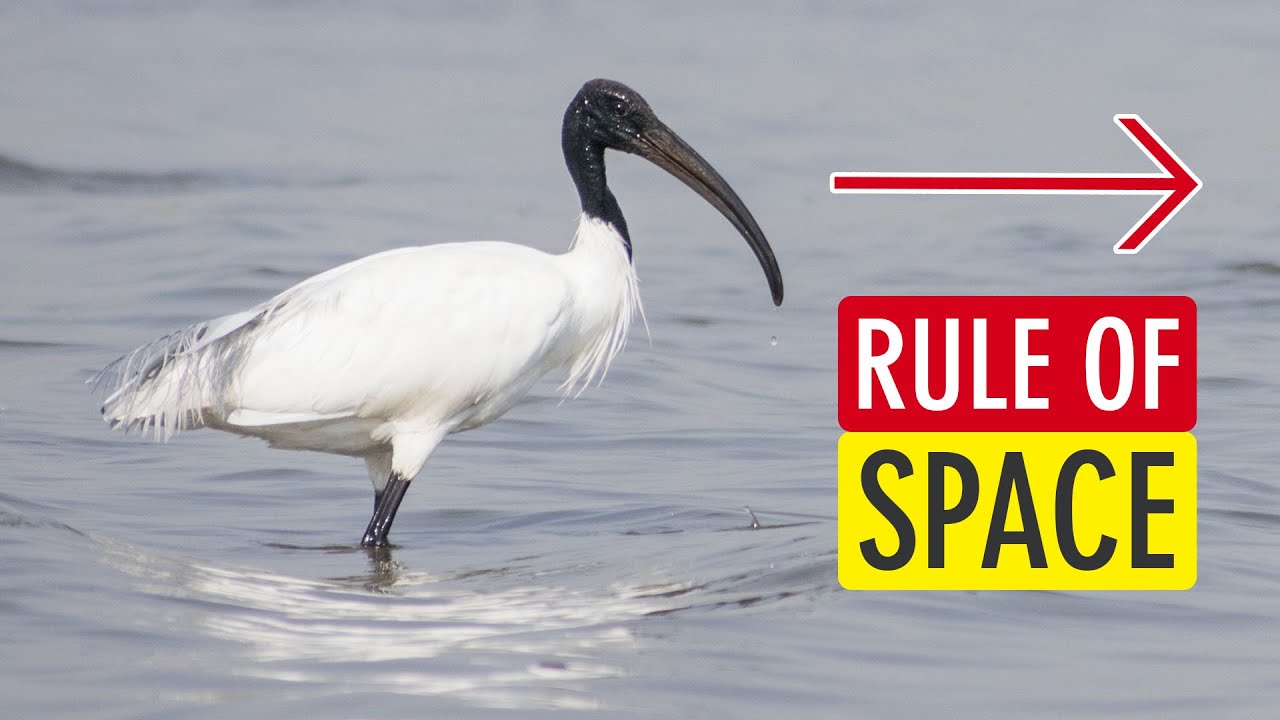 Rule Of Space (What's the Rule of Space & 7 Tips To Use It in Your ...