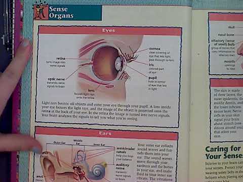Monday- EYES - YouTube
