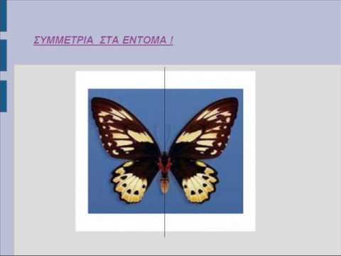 ΣΥΜΜΕΤΡΙΑ-ΟΜΑΔΙΚΗ ΕΡΓΑΣΙΑ - YouTube
