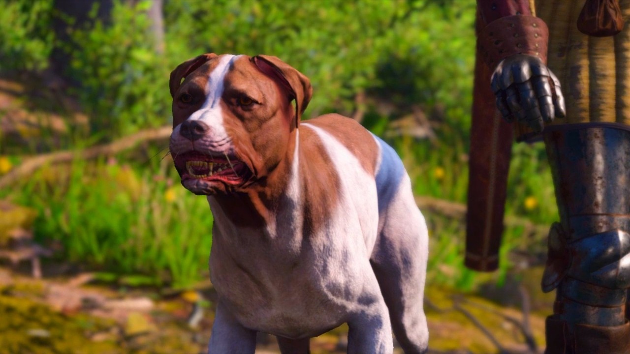 Fastest way to find Mutt in Kingdom Come Deliverance 2 - YouTube