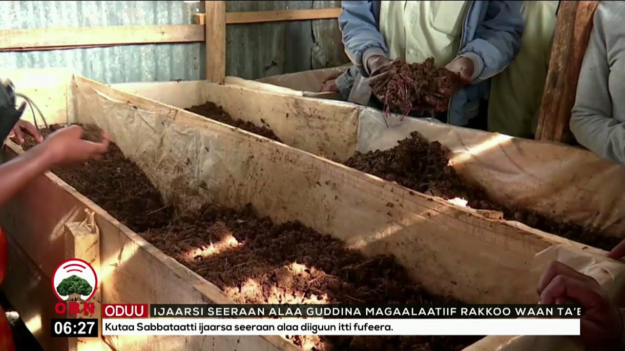 Xaa'oo Uumamaa - YouTube