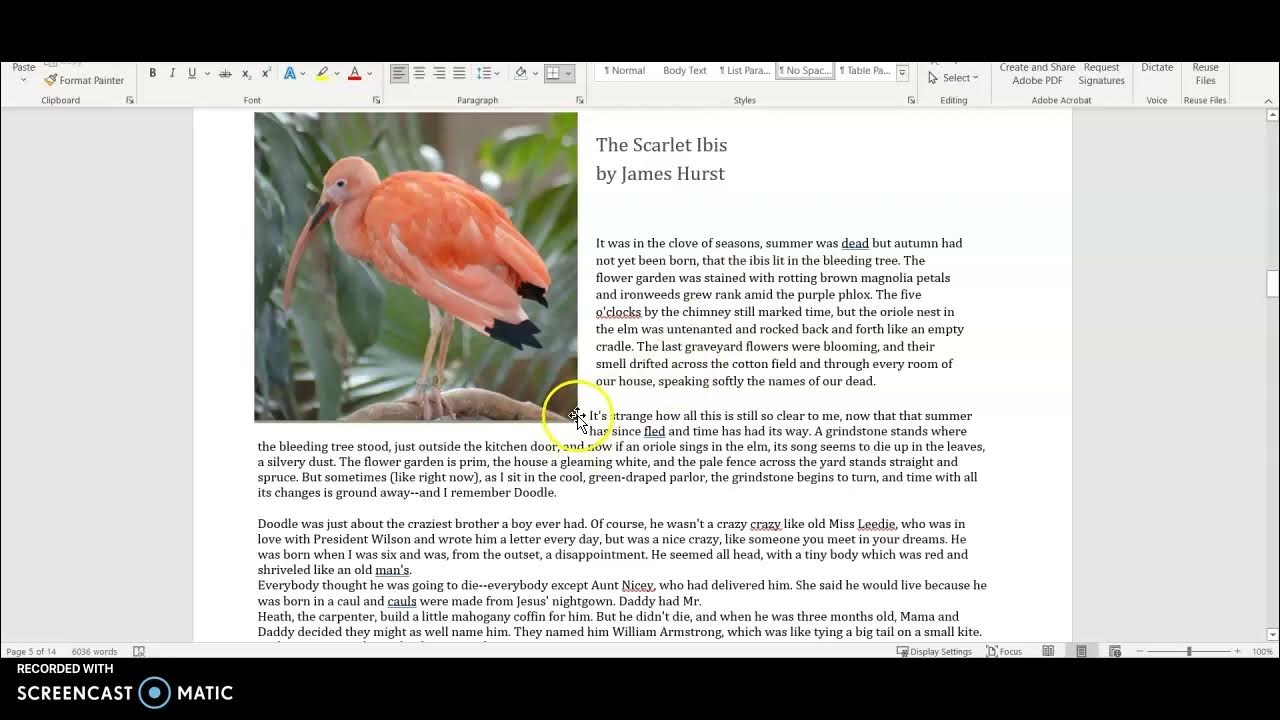 "The Scarlet Ibis" literary terms assignment with 1 term completed ...