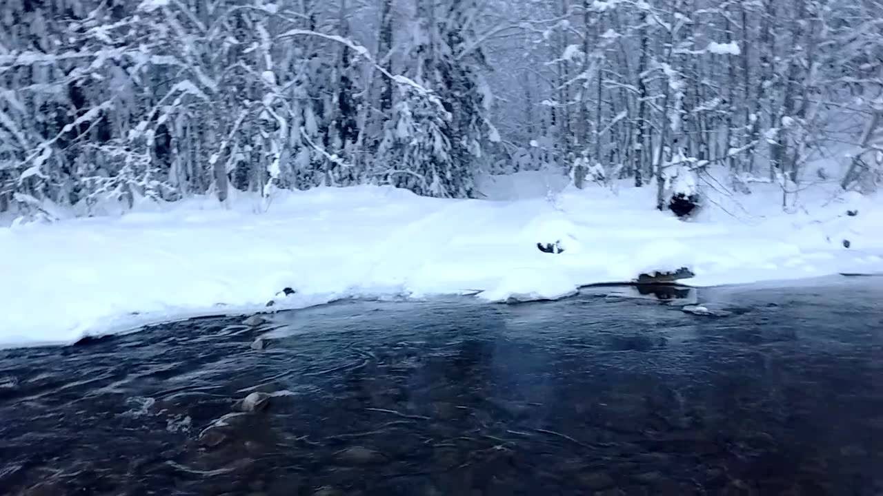 January 4, 2016 - YouTube