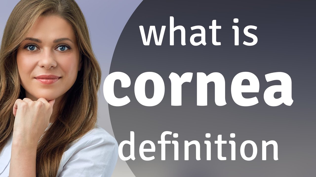 Cornea — CORNEA definition - YouTube