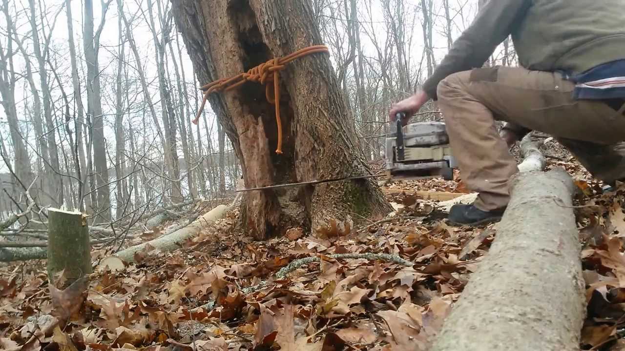 Charles Toth Cutting, Dangerous TREE over House. - YouTube