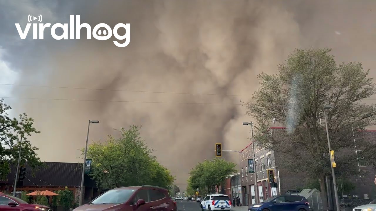 Giant Dust Storm Rolls Into Moscow, Idaho || ViralHog - YouTube