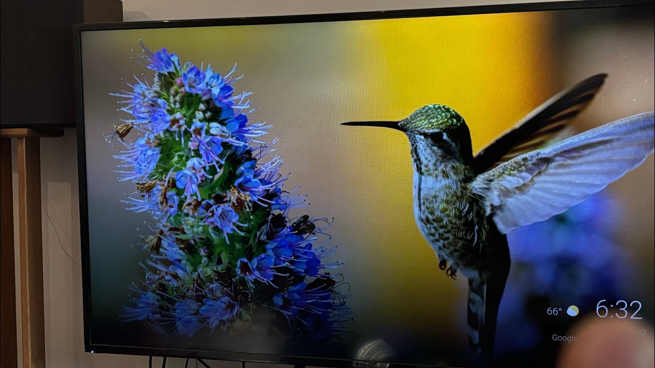 The Weirdest Tv I Have Ever Owned - YouTube