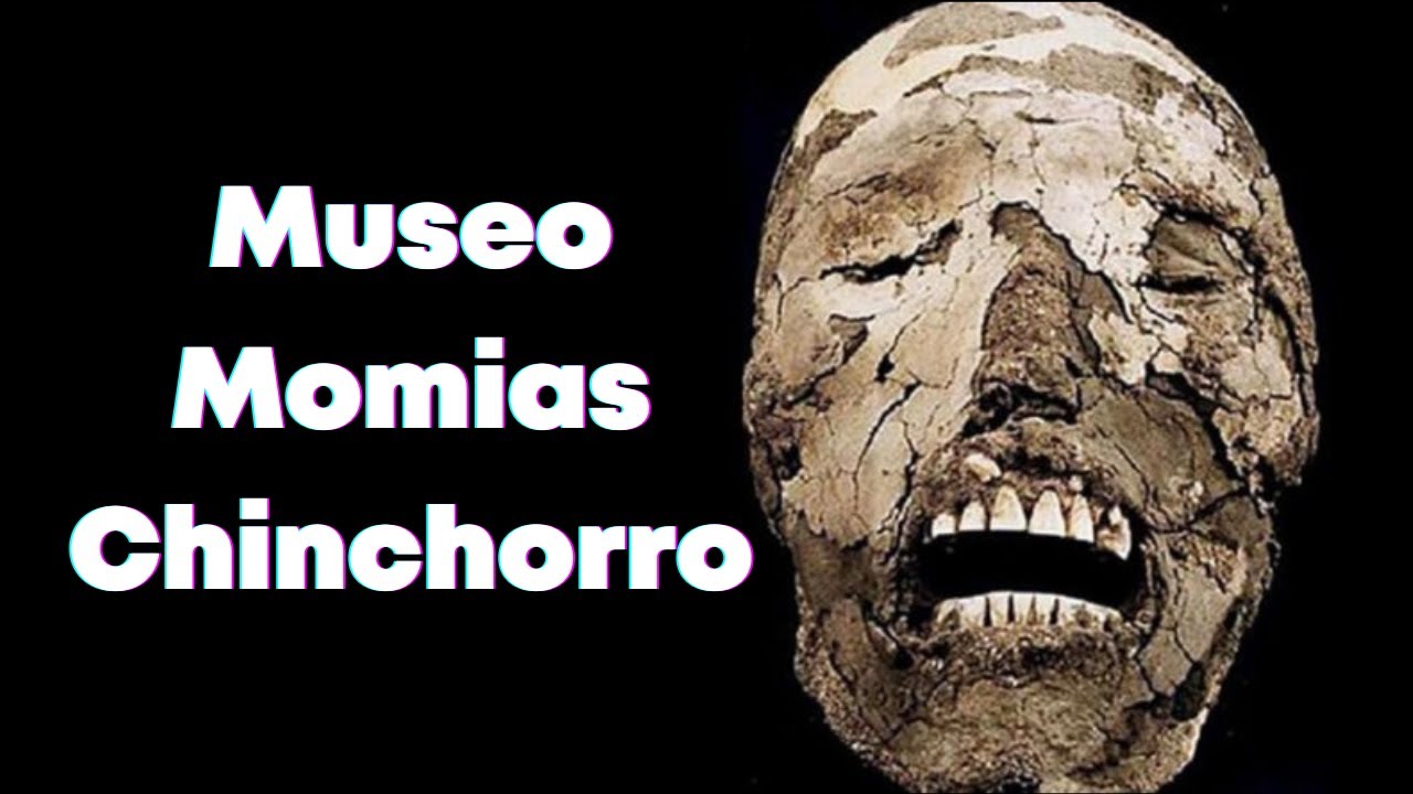 La Momia MÁS ANTIGUA del Mundo - Museo San Miguel de Azapa #museo # ...