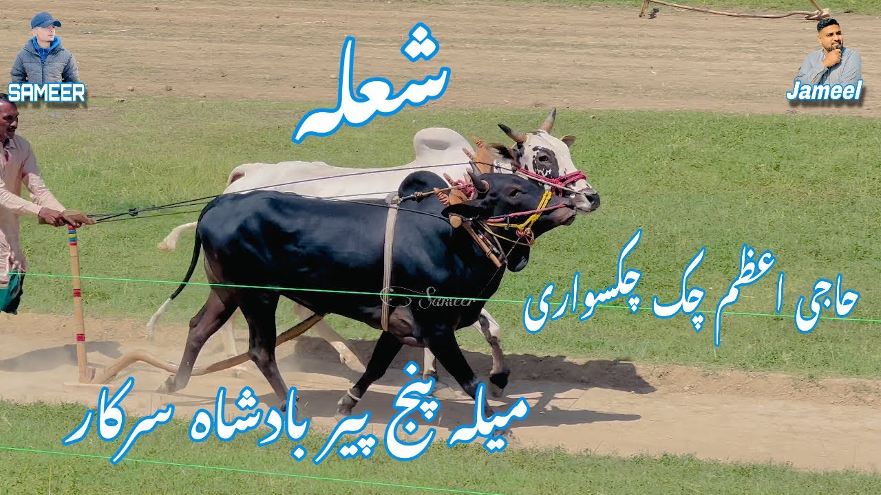 Dand sholla | owner haji azam chak Chakswari | mela panjpeer badshah ...