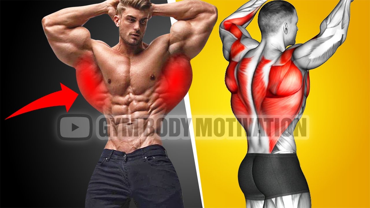 The Perfect Back Workout (9 Exercises for Maximum Results) - YouTube