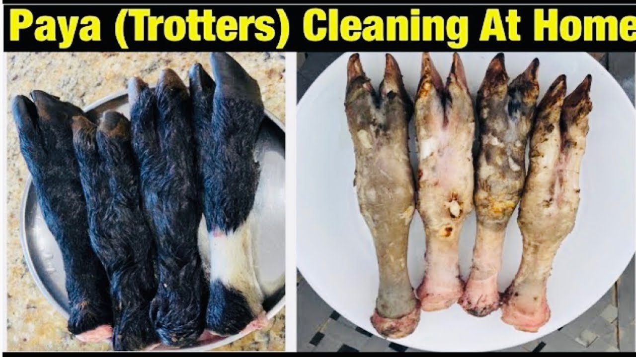 How to Clean Mutton Paya (Trotters) at home| Cleaning Hair From Paya At ...