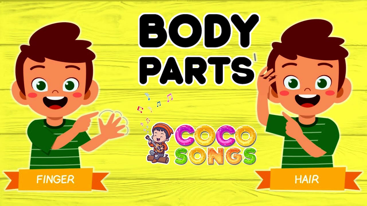 Body Parts Educational Toddler Learning Video | Baby Learn Human Body ...