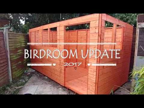 Bird Room Progress - Shed is made and ready to go!!!! - YouTube
