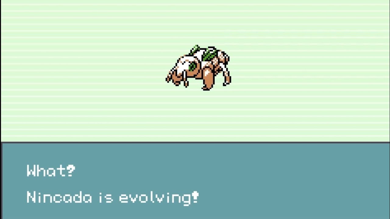 How to evolve Nincada into Shedinja - Pokemon Lazarus 1.2 - YouTube