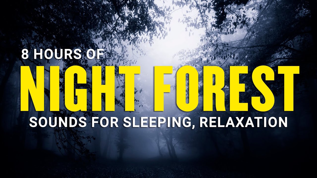8 Hours of Forest Sounds at Night for Sleeping | Relaxing Nature Sounds ...