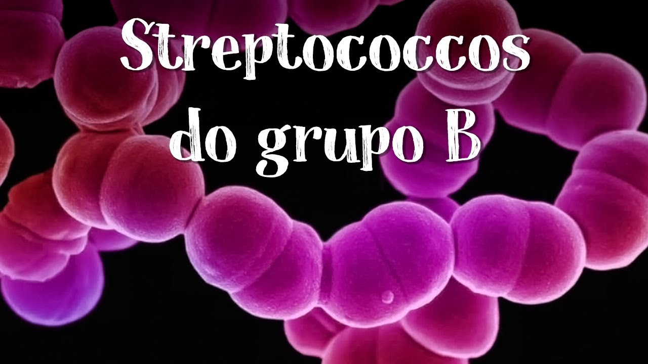 Papo de Parto: Streptococcus do Grupo B - YouTube