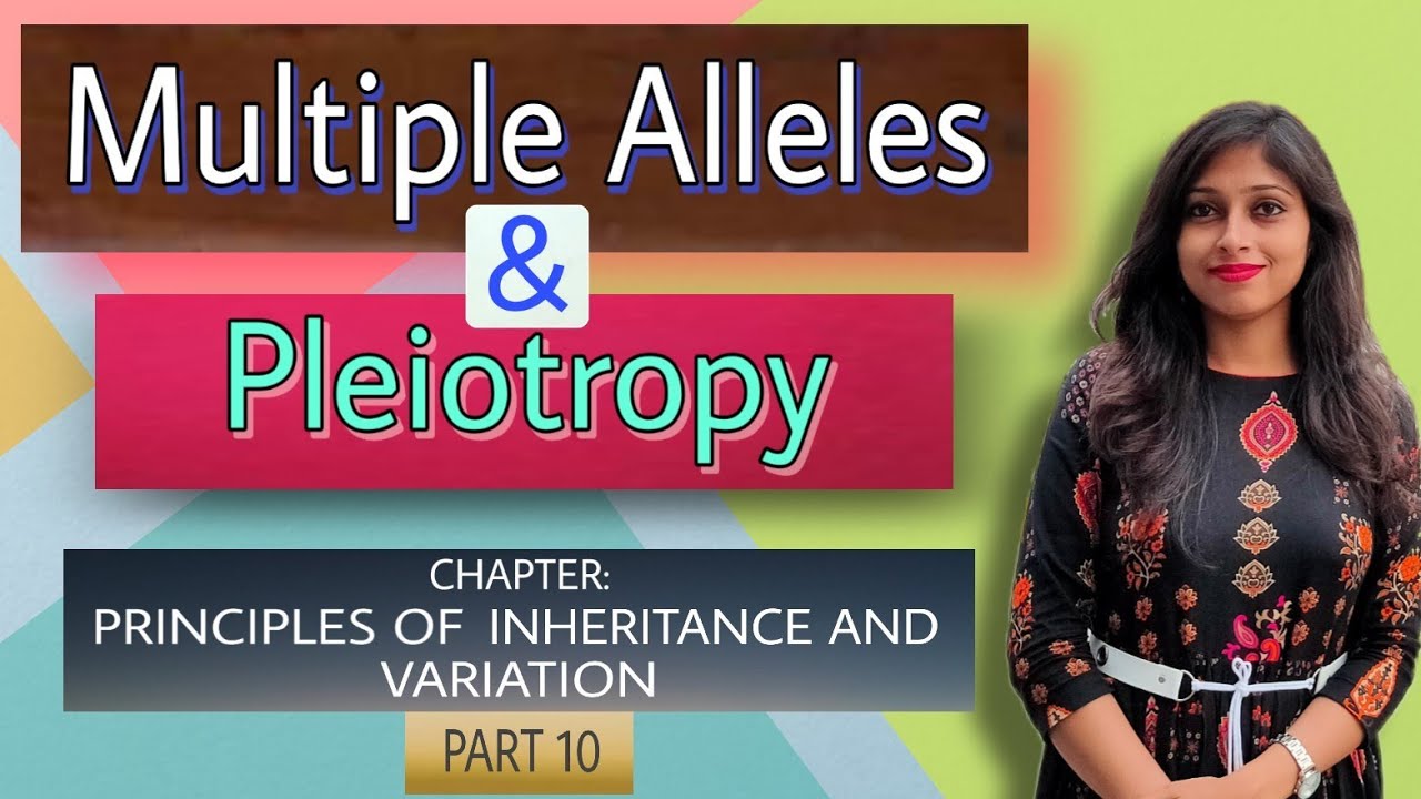 Multiple Alleles & Pleiotropy In Assamese /Part-10/Class 12 Biology ...