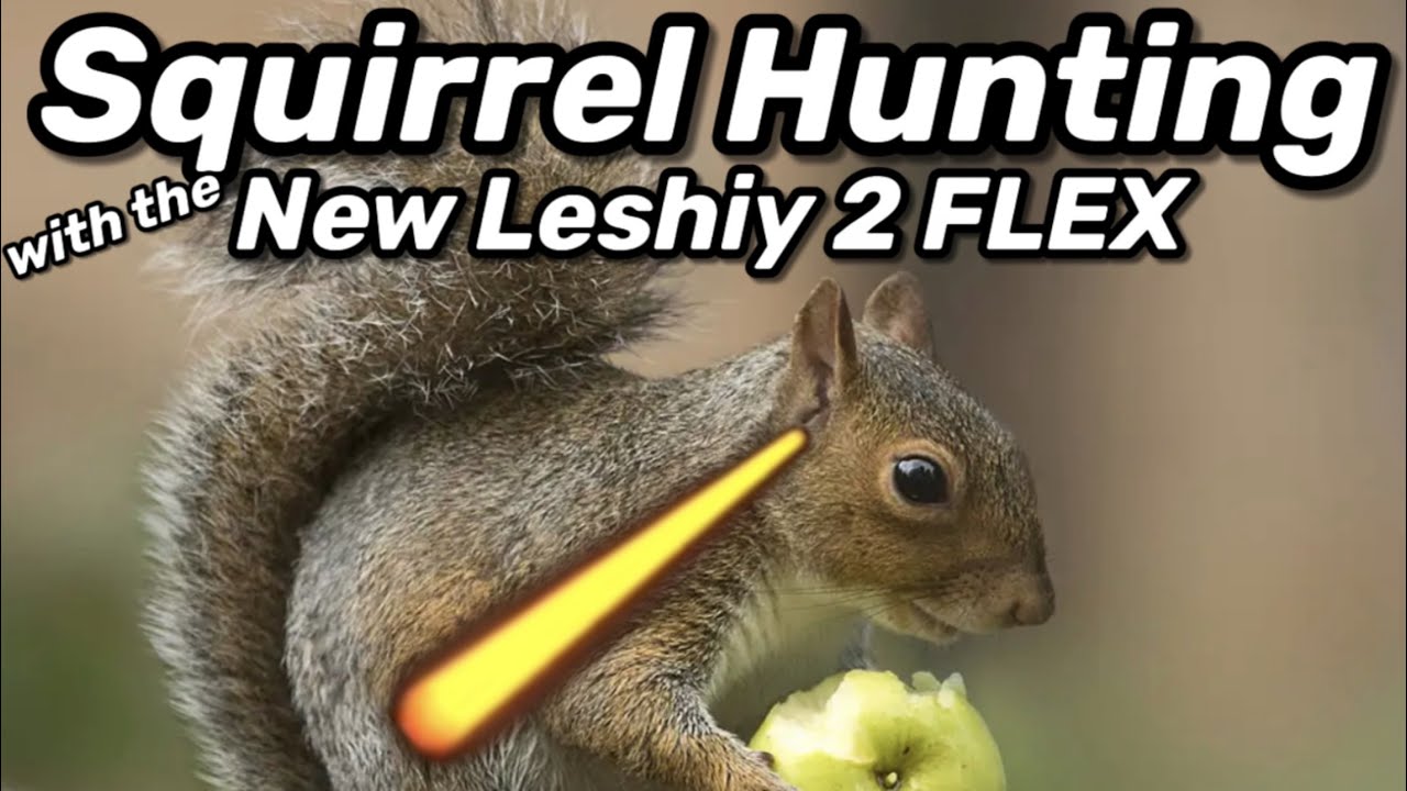 Funny Squirrels With Lightsabers