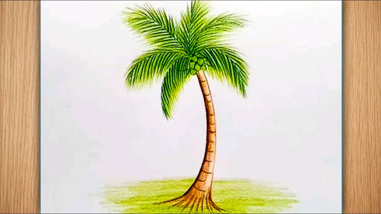 How to draw coconut tree step by step | coconut tree drawing easy ...