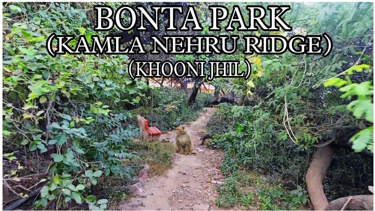 Bonta Park , khooni jhil( Kamla Nehru Ridge) | - YouTube