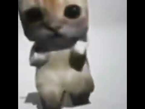 El gato dancing - YouTube