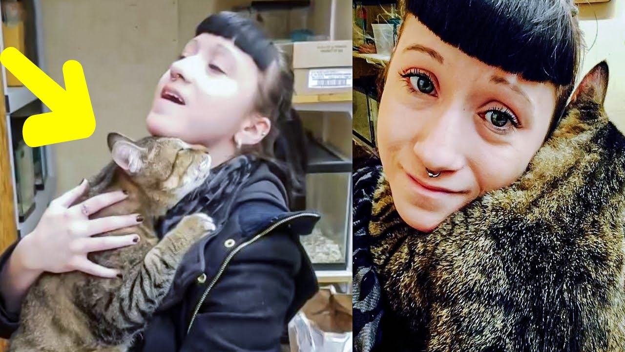 This Women Hug A Shelter Cat For The First Time, Then Tabby Refuse To ...