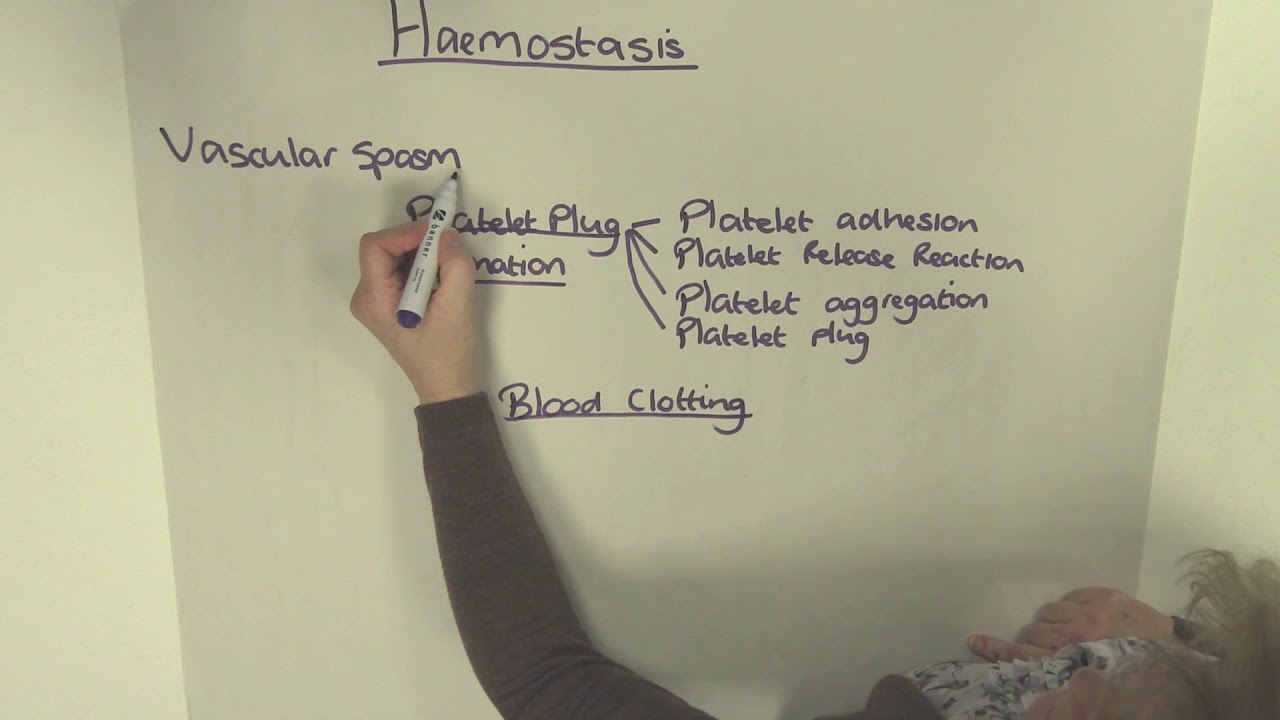 Haemostasis - An Overview - YouTube