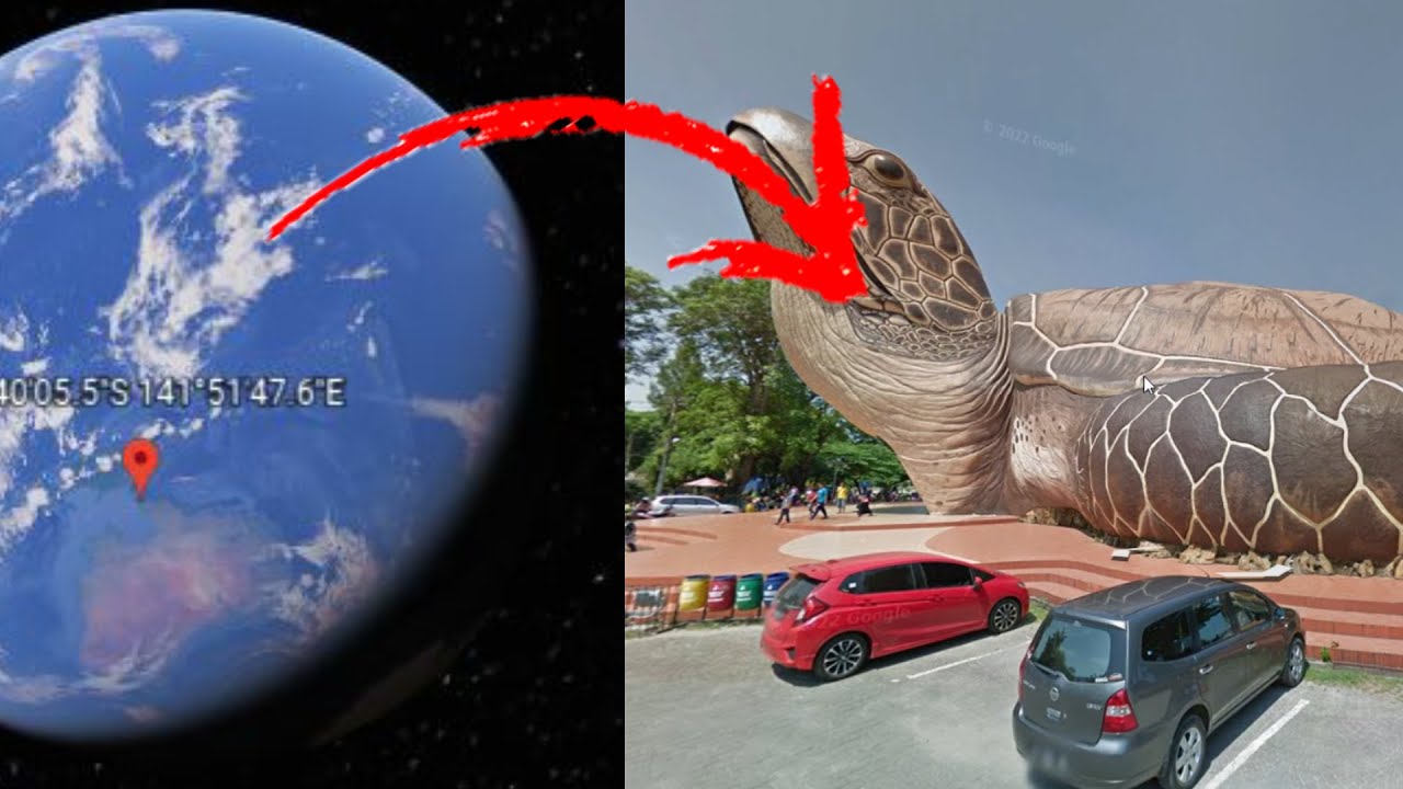 The giant tortoise was found on google earth - YouTube