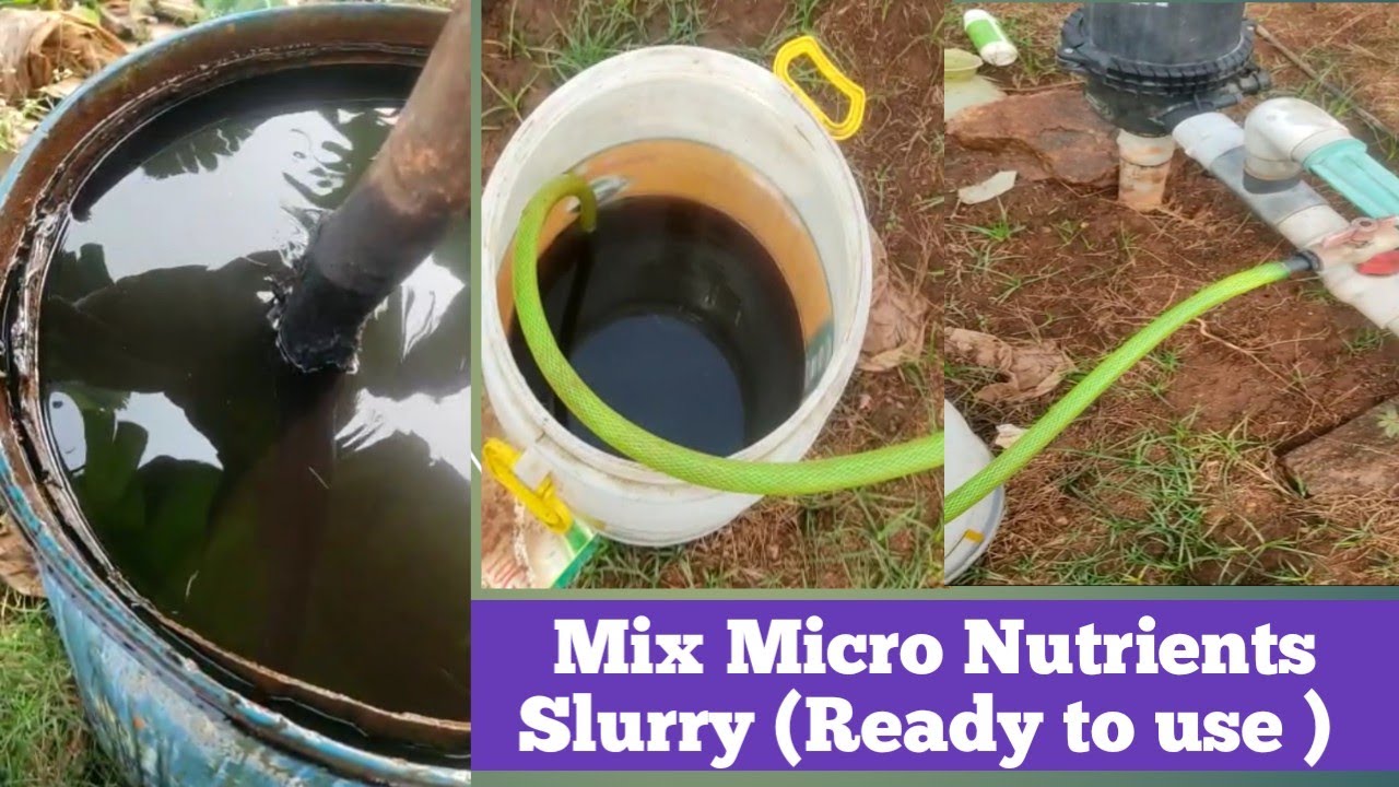 Mix Micro Nutrients Slurry (Ready to use after 15 days) Part-2 - YouTube