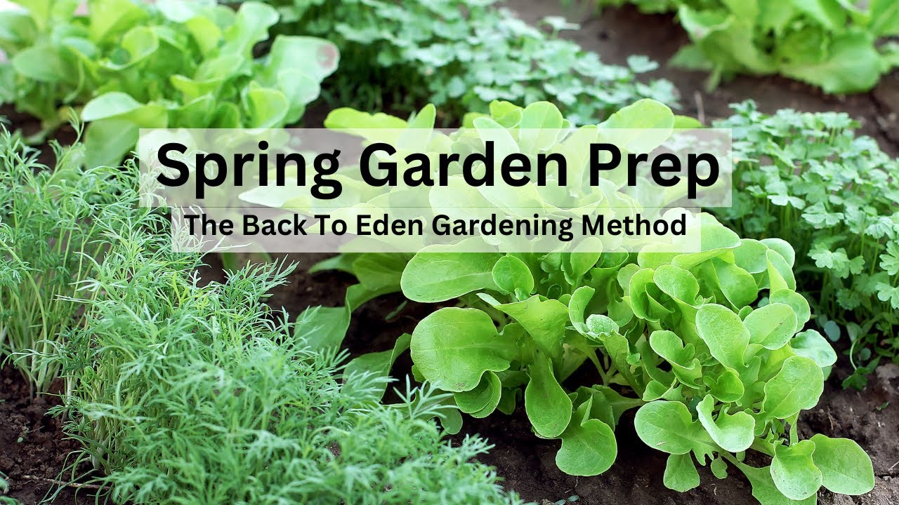 Spring Garden Prep - YouTube