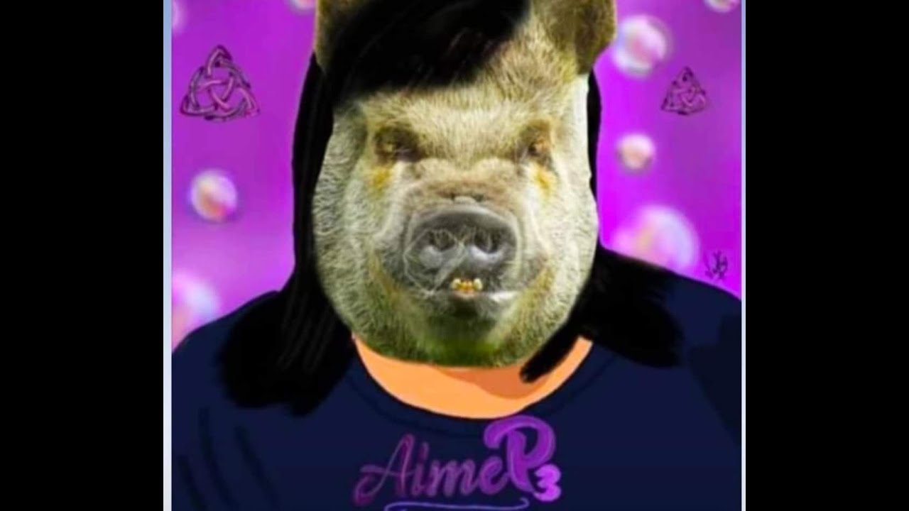 23 casi 24 imágenes de AimeP3 parte 3 // Edición Gorilover - YouTube