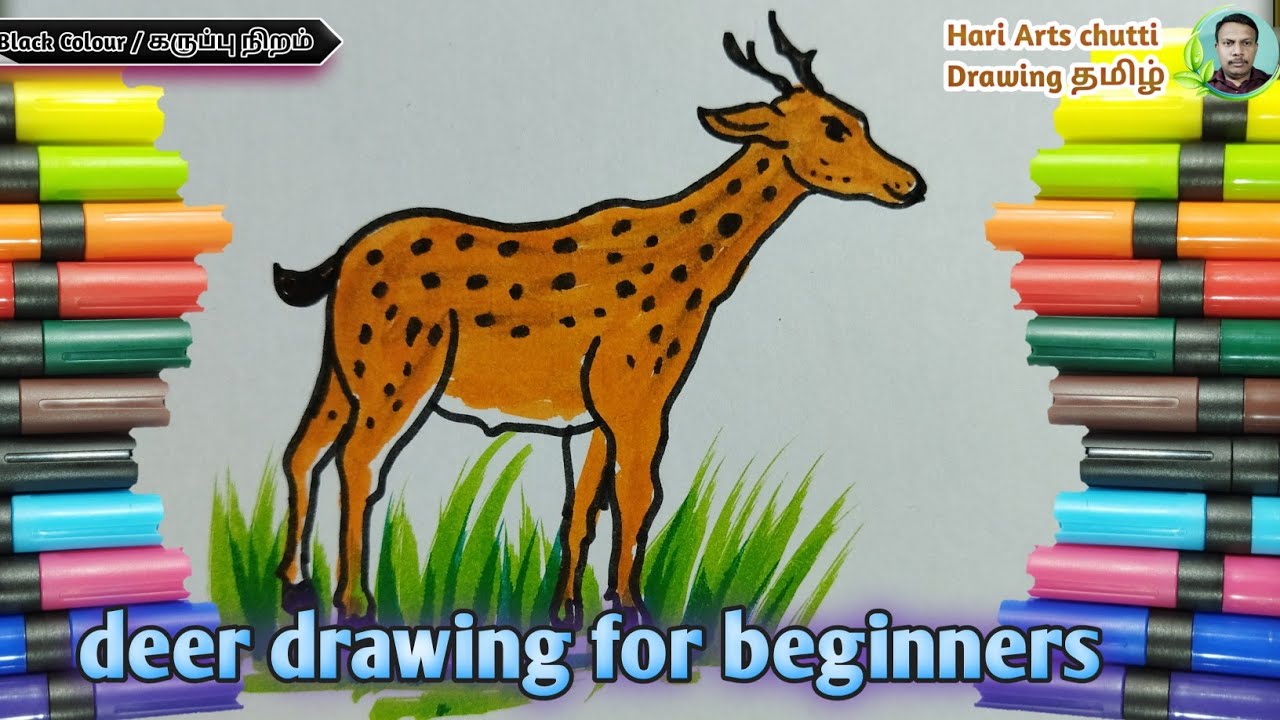 deer Drawing | simple deer Drawing | very easy way to draw a deer ...