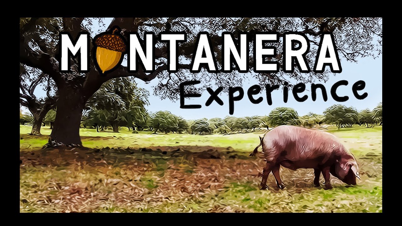 EMBUTIDOS FERMÍN - MONTANERA EXPERIENCE - YouTube