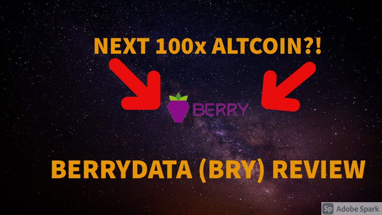 NEXT 100x ALTCOIN?! BERRYDATA (BRY) REVIEW - YouTube