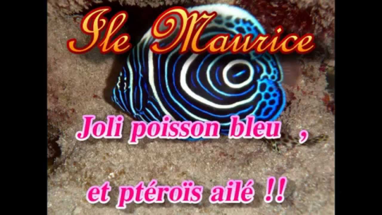 Ile Maurice , joli poisson bleu et ptéroïs ailé ! - YouTube